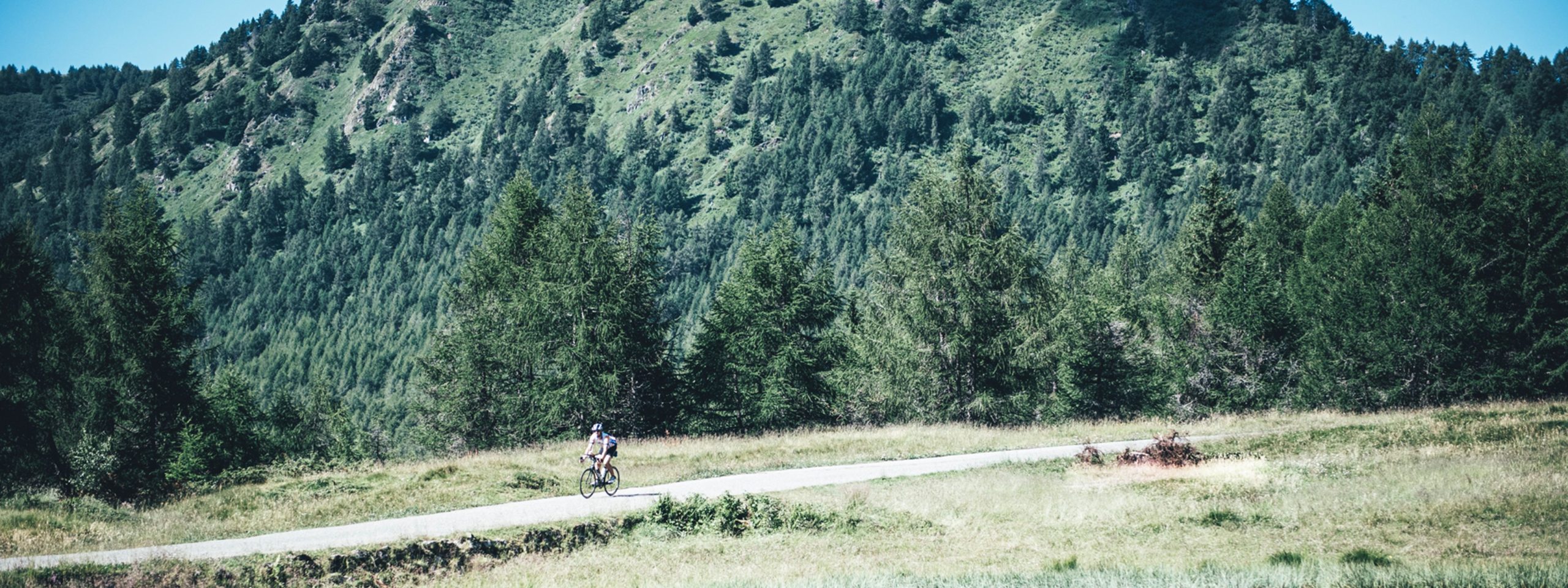 Courses Approach - The Stone